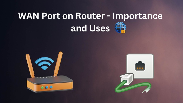 WAN Port on Router - Importance and Uses • DataFeature